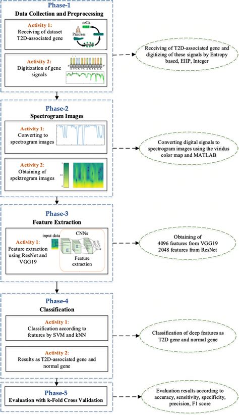 The Flow Diagram Of The Proposed Strong Algorithm For Diagnosis Of T2D Download Scientific