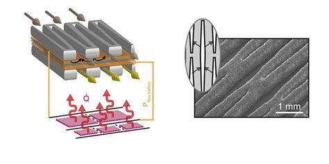 3d Printed Fluidic Networks For High Power Density Heat Managing Miniaturized Redox Flow