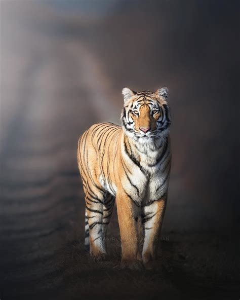 Anirudh Vidyabhushan 25 Anirudhvidyabhushan • Threads Say More