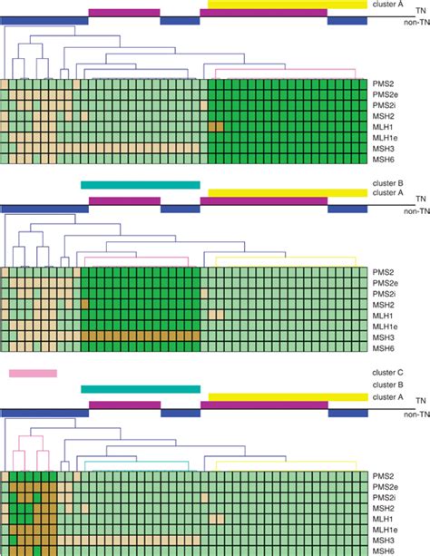 Unsupervised Hierarchical Clustering Analysis Among Tn Represented By