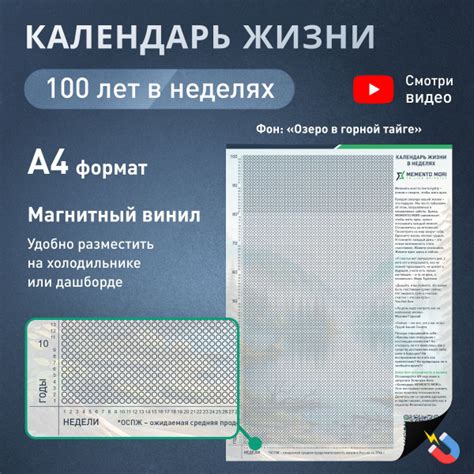 Календарь жизни человека в неделях мотивационный А4 100 лет ...