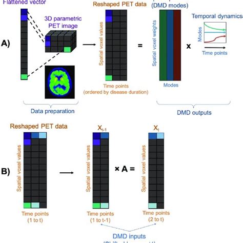 Dmd Modes Spatial Patterns In The Less And More Affected Putamen A