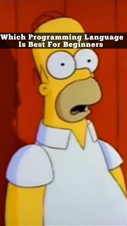 Which Programming Language Is Best For Beginners 🤔 Beginners Language