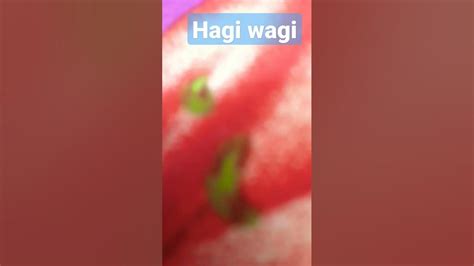 Hagi Wagi Pokemon Youtube