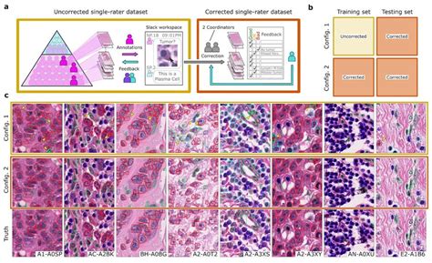 Figure S12 Qualitative Examination Of The Generalization Accuracy Of A Download Scientific