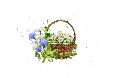 Цветок Анимация На Прозрачном Фоне 66 фото