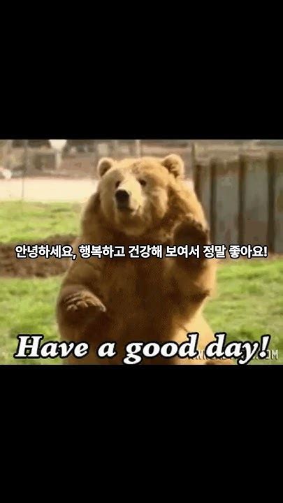 반갑게 인사하는 영어문장 2편입니다 Youtube