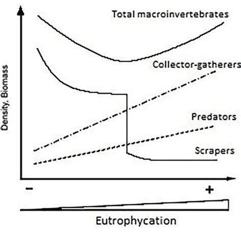 Trend Response Macroinvertebrate Groups Based On Functional Feeding