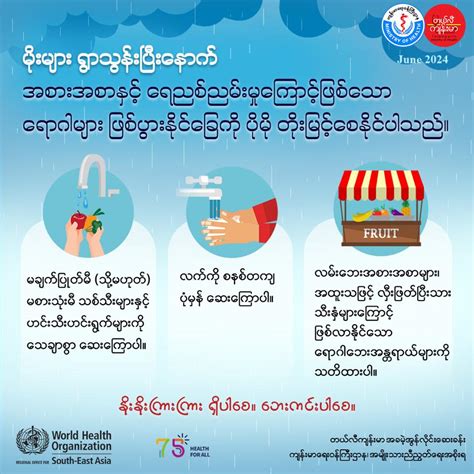 မိုးများ ရွာသွန်းပြီးနောက် အစားအစာနှင့် ရေညစ်ညမ်းမှုကြောင့်ဖြစ်သော ရောဂါများ June 2024