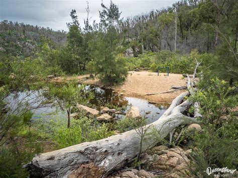 Essential Guide To Exploring Crows Nest National Park