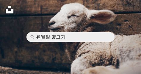 유월절 어린 양 사진 Unsplash에서 무료 이미지 다운로드