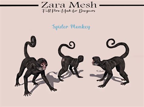 Second Life Marketplace Zm Animals Spider Monkey Full Perm Mesh