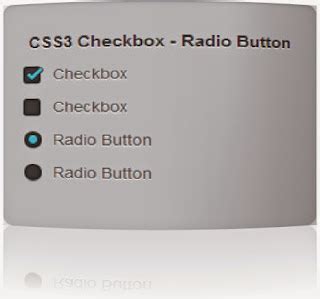Cambiar Estilos De Checkbox Y Radio Button Con CSS Detodoprogramacion Org