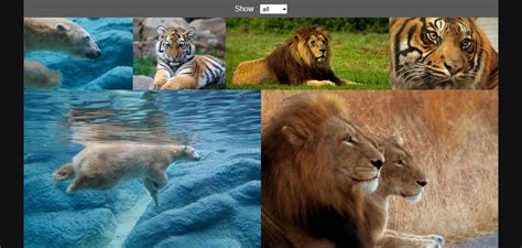 Creating A Dynamic Image Gallery Using Filtered Flexbox