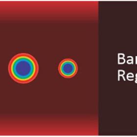 Schematic Of Proposed Artificial Neuron Device Download Scientific Diagram