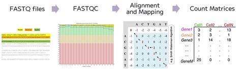Getting Started With Scrna Seq Post Sequencing Data Analysis Parse