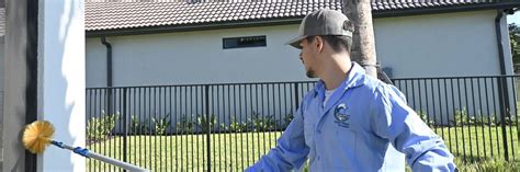 Spider Removal Pest Control Services Green Wave Pest Solutions
