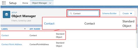 Salesforce Case Sensitivity For Text Field Type