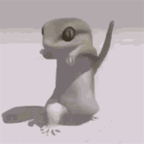 Gecko Dance  Gecko Dance S Entdecken Und Teilen