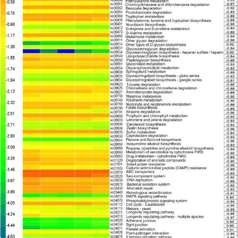 Relative Abundance Of The Functional Traits Level 3 Of Kegg Functional