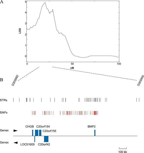 Quantitative Trait Locus Alchetron The Free Social Encyclopedia
