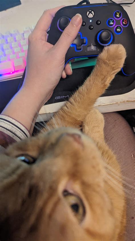 He Thinks I Need To Git Gud Roneorangebraincell