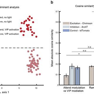 Attention And VIP Modulations Are Orthogonal A Mean Stimulus Evoked Download Scientific