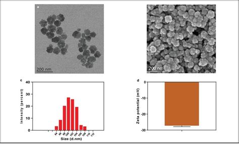 Characterization Of Fe3o4 Nps A Transmission Electron Micrograph Download Scientific