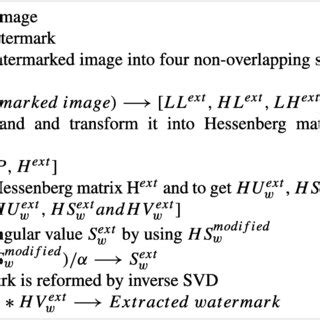Illustration Of An Extraction Process Download Scientific Diagram
