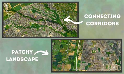 Why Landscape Connectivity Matters Sustainably Motivated