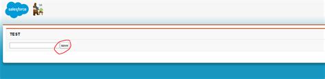 Visualforce Salesforce Creating A User Form Using Visualfocre