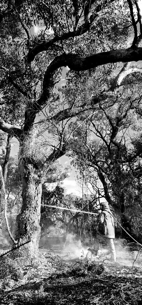 Fire Mitigation Services Home