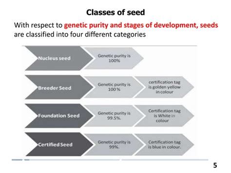 Lecture 2 Seed Sowing And Planting Geometry Copypptx