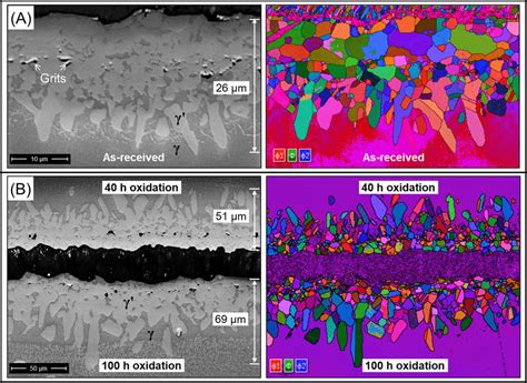 Bse Imaging And Ebsd Euler Colour Mapping Of The Cross Section Of A Download Scientific Diagram