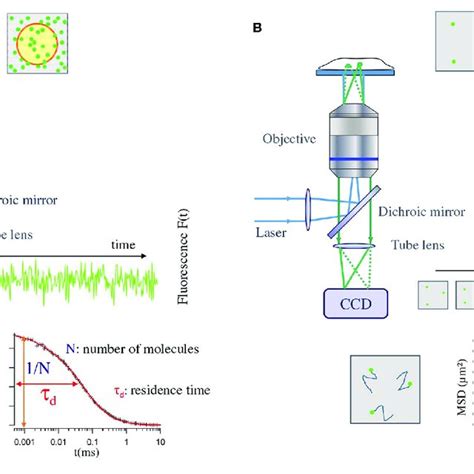 Schematic View Of The Typical Setup Used In Fluorescence Correlation
