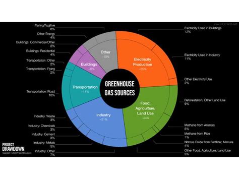Decarbonisation Definition Why It Is Essential And What Non Profits Can Do Corena Citizens