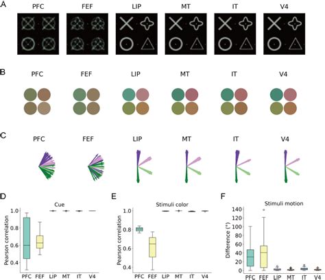 Figure From Decoding Region Level Visual Functions From Invasive