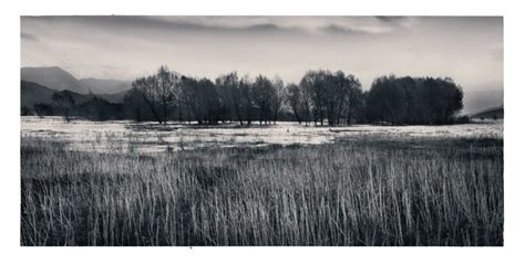 How I Create Selenium Toning On Digital