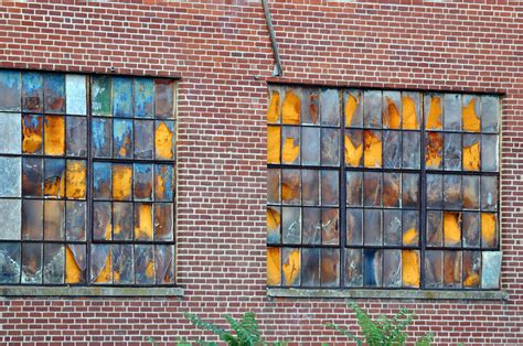 Gallery — Carol Kitchell