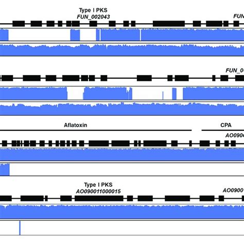 Examples Of Lineage Specific Genes In Secondary Metabolite Encoding