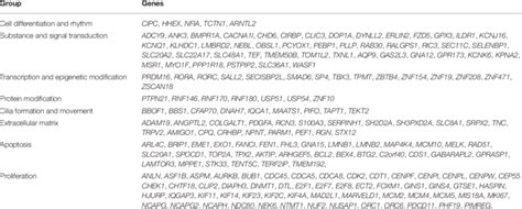 function based differential gene grouping download scientific diagram