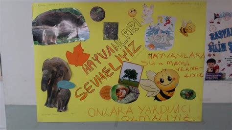 OKULUMUZDA 4 EKİM HAYVANLARI KORUMA GÜNÜ ETKİNLİKLERİ Orhan Şaik