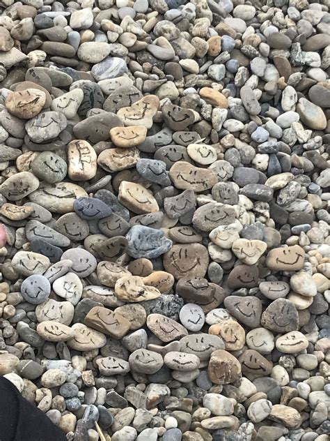 Ich Wenn Ich Ohne Stress Am Donaustrand Sitze Und Ein Stück Holzkohle Finde Gerade Ist Es