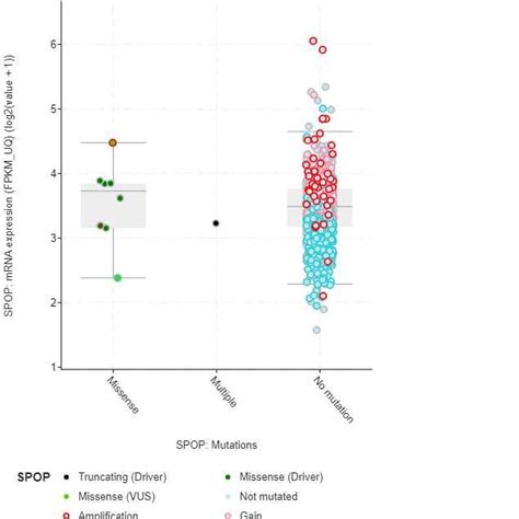 Type Of Mutation Based On Mrna Expression Download Scientific Diagram