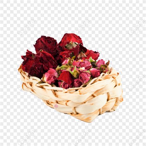 장미 꽃 식물 잎 꽃 차공기 건조초본 차