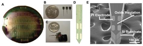 Fabricated Silicon Wafer Based Mea Probes A Single 4 In Si Wafer Download Scientific Diagram