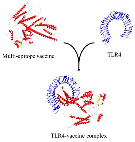 Design Of A Chimeric Multi Epitope Vaccine Cmev Against Both Leishmania Martiniquensis And