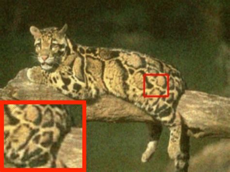Visual Quality Comparison On The Bsd 68 Dataset With Awgn Noise Level σ