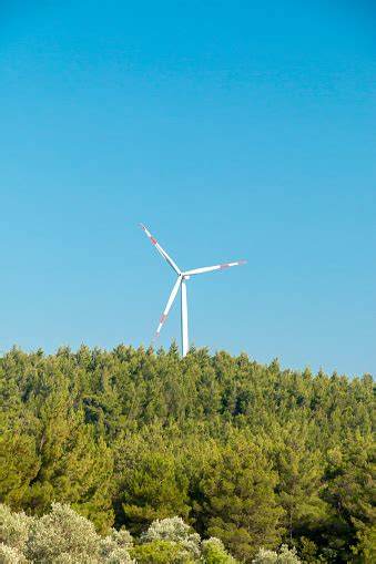 녹색 숲에서 청정 에너지를 위해 설치된 풍력 터빈 자연을 오염시키지 않는 에너지 바람 장미 개발에 대한 스톡 사진 및 기타 이미지 Istock