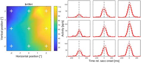 Left Spatial Activity Profile Of One Example Neuron At Saccade Onset Download Scientific